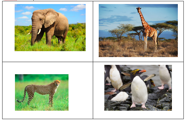 Algebracraft: The Tales of a High School Math Teacher: WODB Project ...