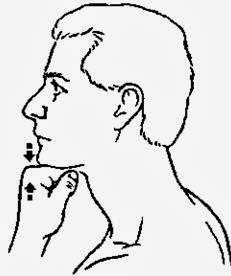 The Amazing Bodybuilding: TMJ Exercises - 3 Sure-Shot Exercises to Ease TMJ