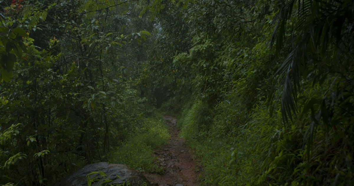 Discrete: Paithalmala: Season