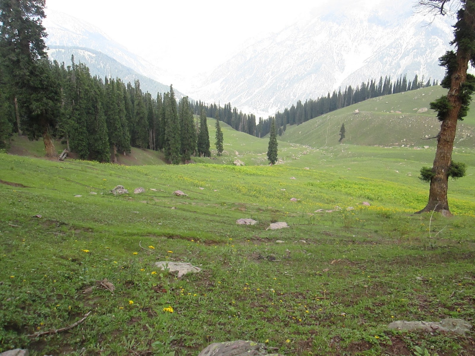 desan valley: desan valley