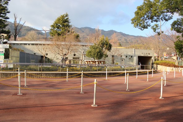 Zoos in Japan: Kobe Oji Zoo