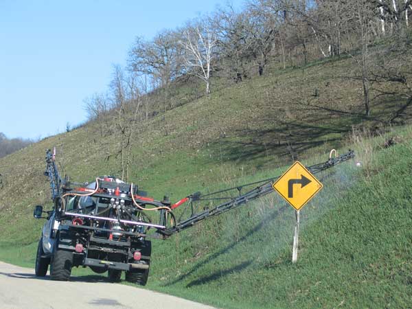 Tom's Blog: Control of smooth brome and other clonal grasses