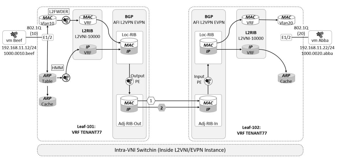 The Network Times: VXLAN Part XV: Analysis of the BGP EVPN Control ...