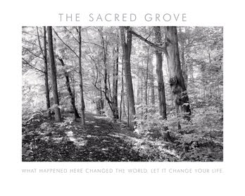 Blue Skies Ahead: The First Vision Family Home Evening