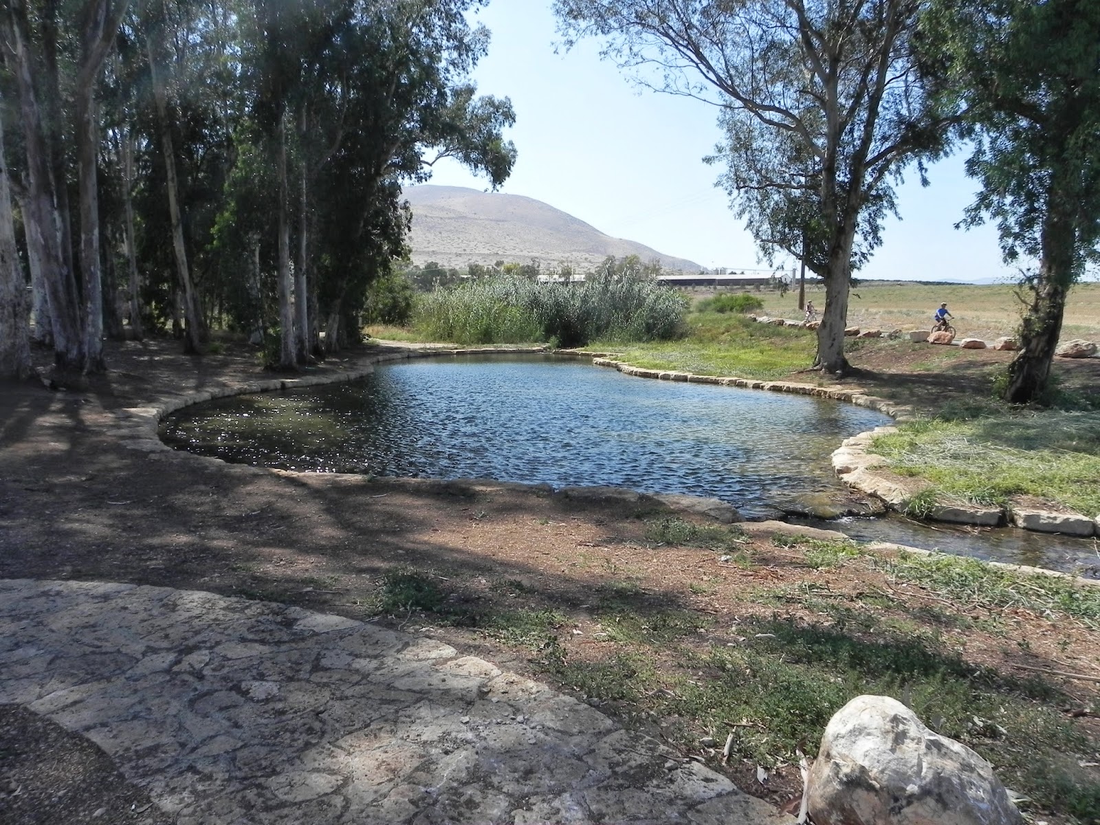 CAJE - Israel Study Tour 2014: The Sachne (Gan HaShlosha National Park ...