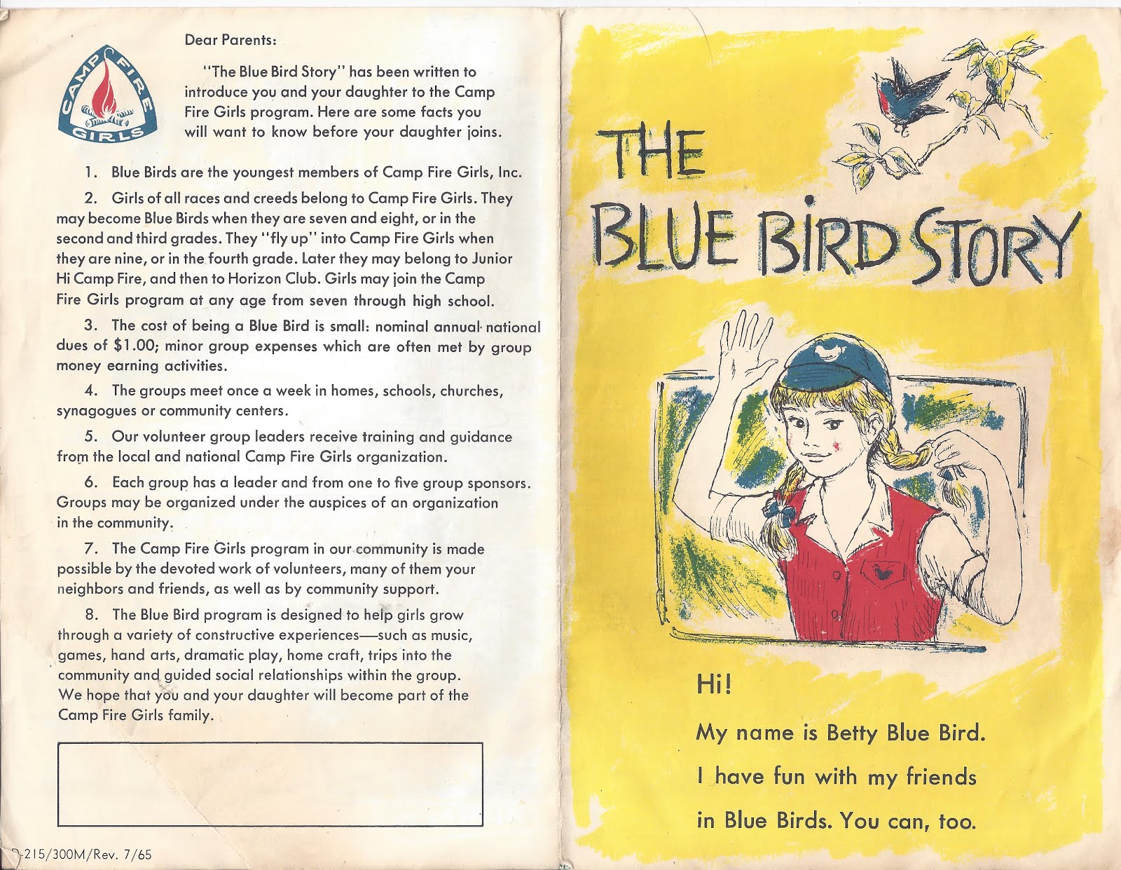 Thrift Shop Commando: Blue hopping Monday and I was once a bluebird