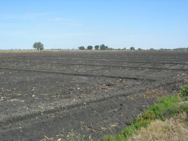 Huertos Ecológicos Alcorcón: La importancia de un buen laboreo
