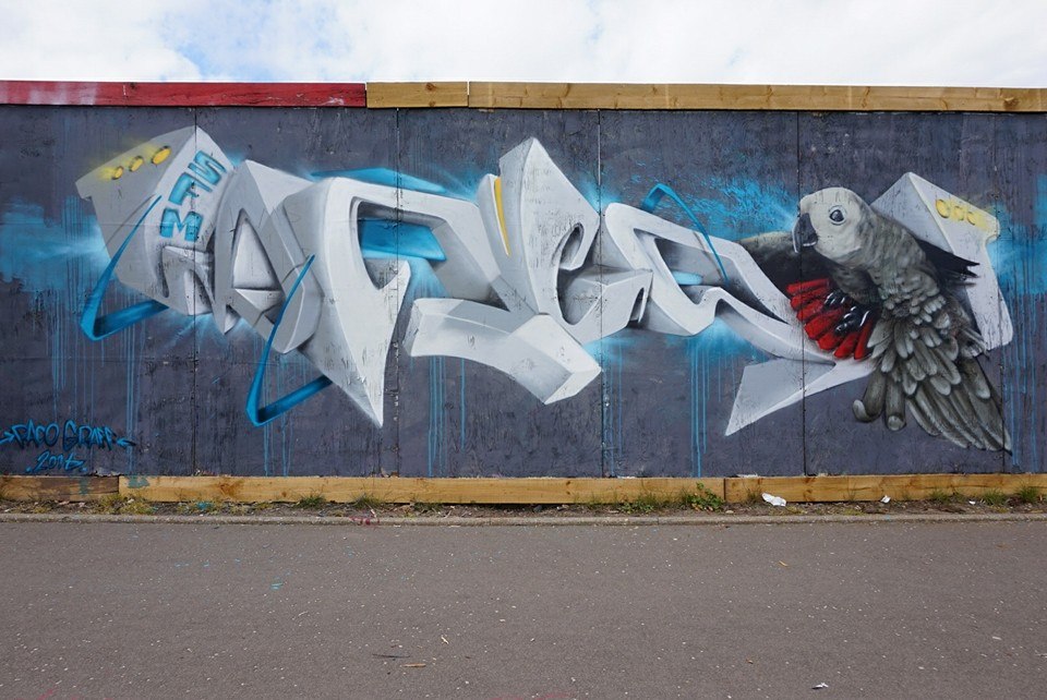 Kiwi's Angels: Paco Graff - African grey graffiti