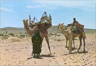 EL CAJON DE LOS CONOCIMIENTOS: NÓMADAS