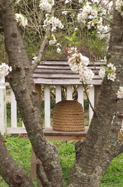 Colonial & Early American Gardens: Historic Gardens - Spring at ...