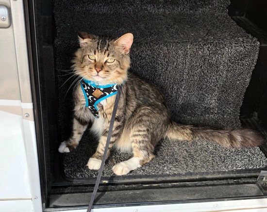 Captain Jim: Comparisons...