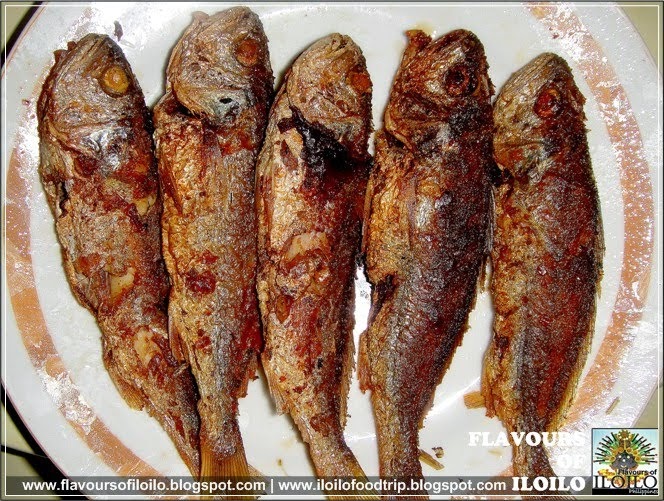 Fried Fish Galore
