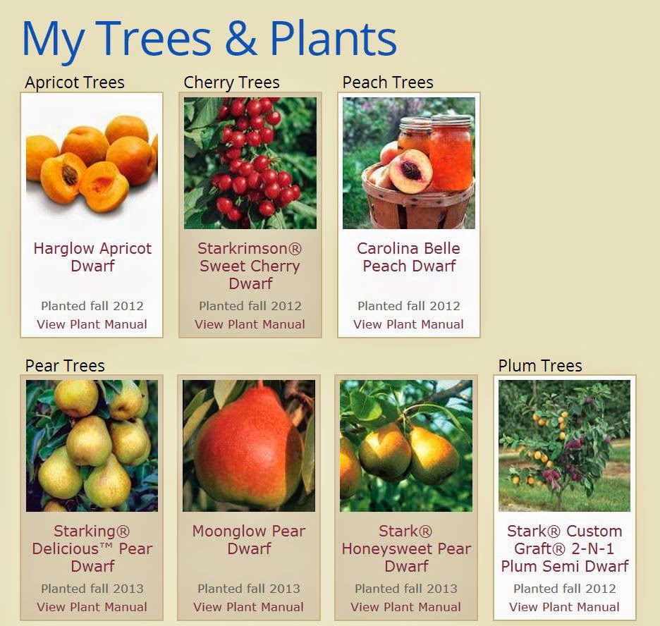 JUST ME: Fruit trees from Stark Brothers