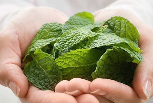 Spark Naturals Blog: Peppermint Diffuser Blends