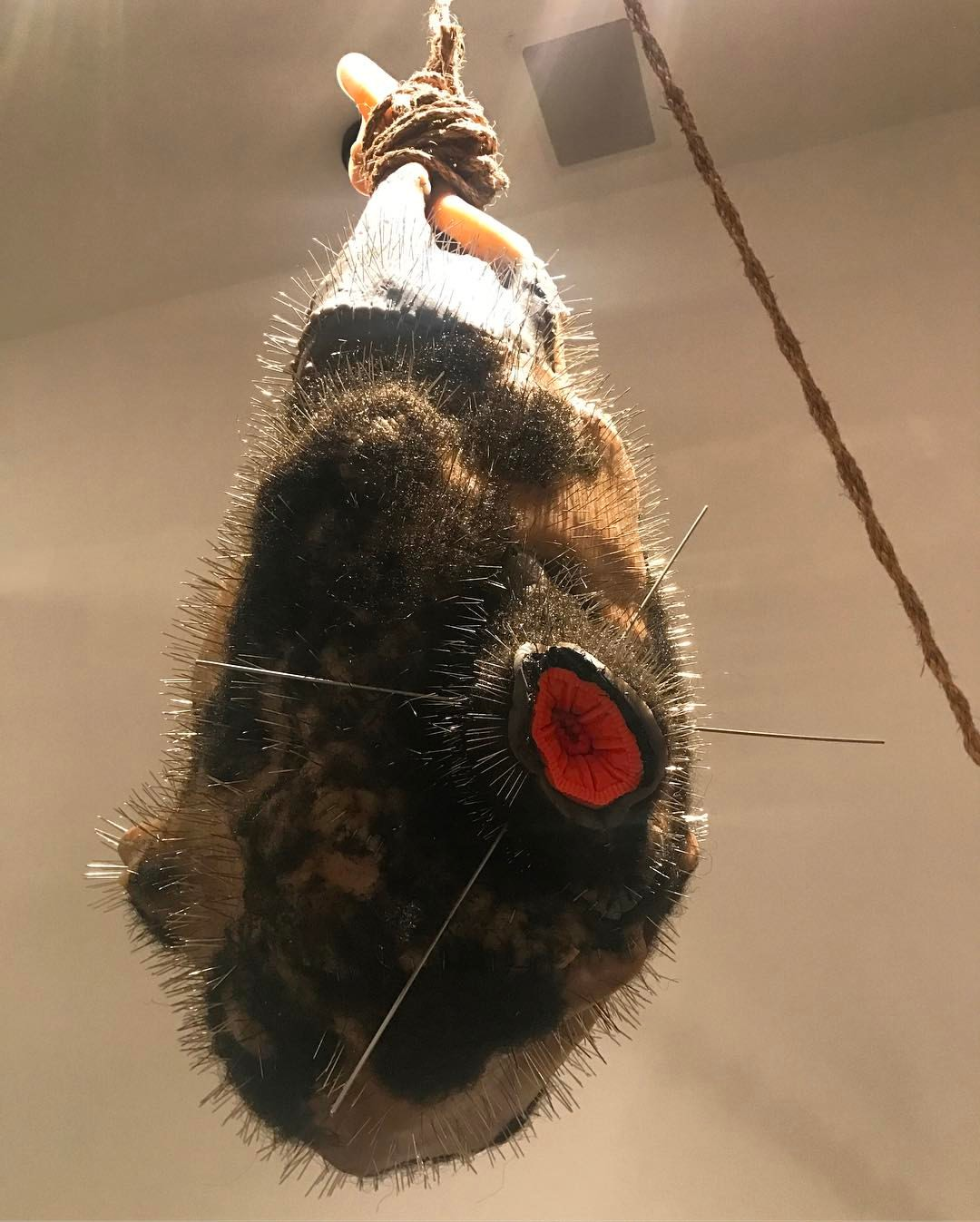 VIVENCIAS PLÁSTICAS: DOREEN GARNER (1986) / NINGUNA AMBIGUEDAD