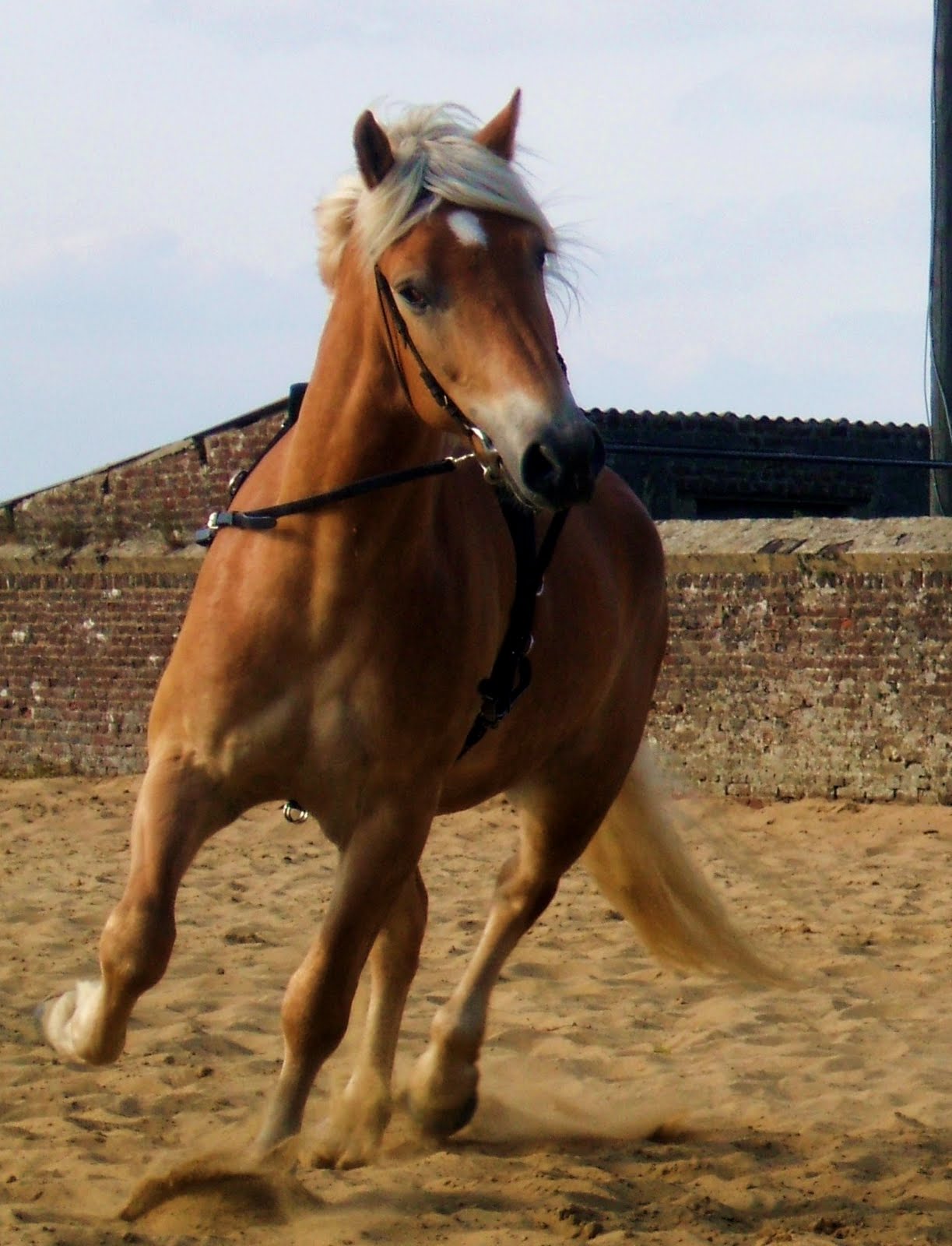 Archimèdes: Today, travail à la longe...