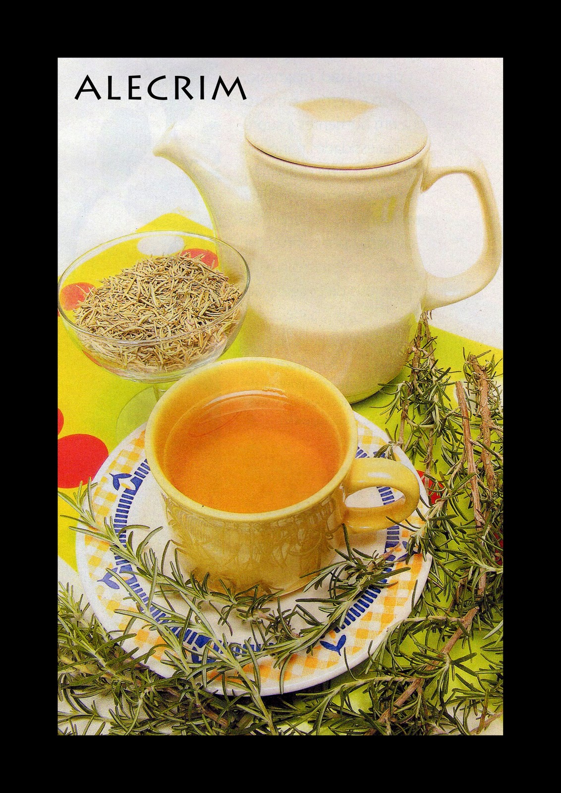 Chás & Especiarias: CHÁS MEDICINAIS #1