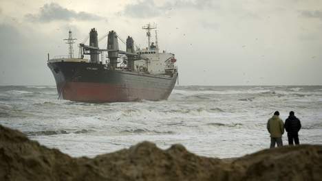 noordwijkse strand dingen: Aztec Maiden Gestrand bij Wijk aan Zee