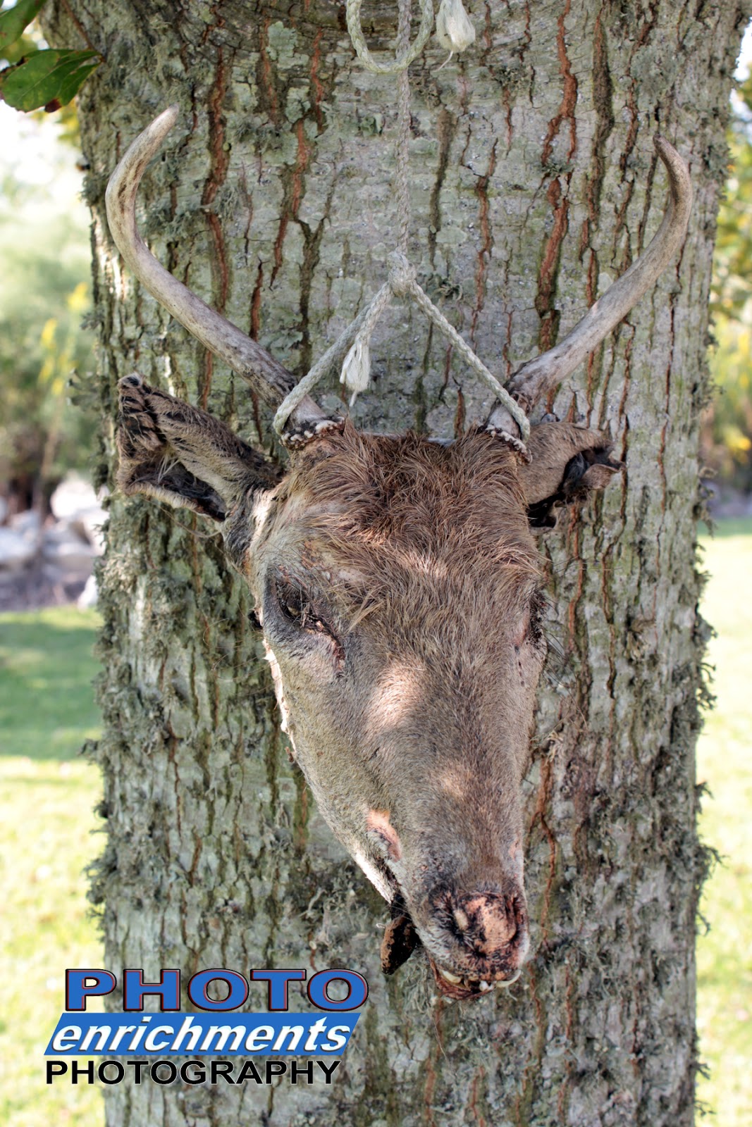 Photo Enrichments: October 2012