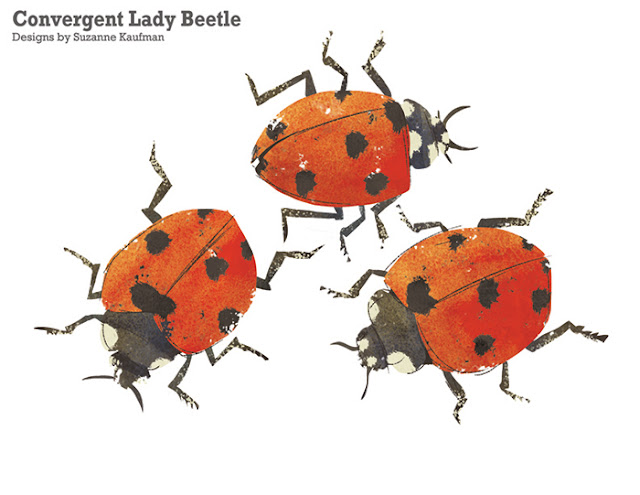 Author-Illustrator Spotlight: Suzanne Kaufman