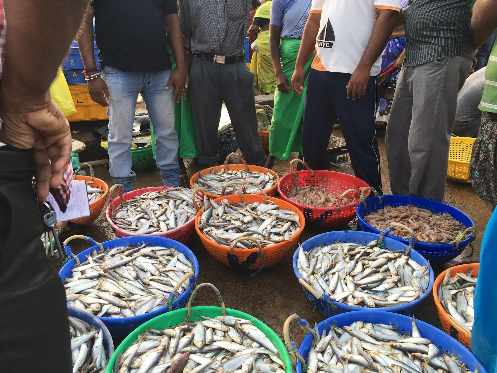 Words and Expressions: Dhakke - Mangalore's Fishing Dock