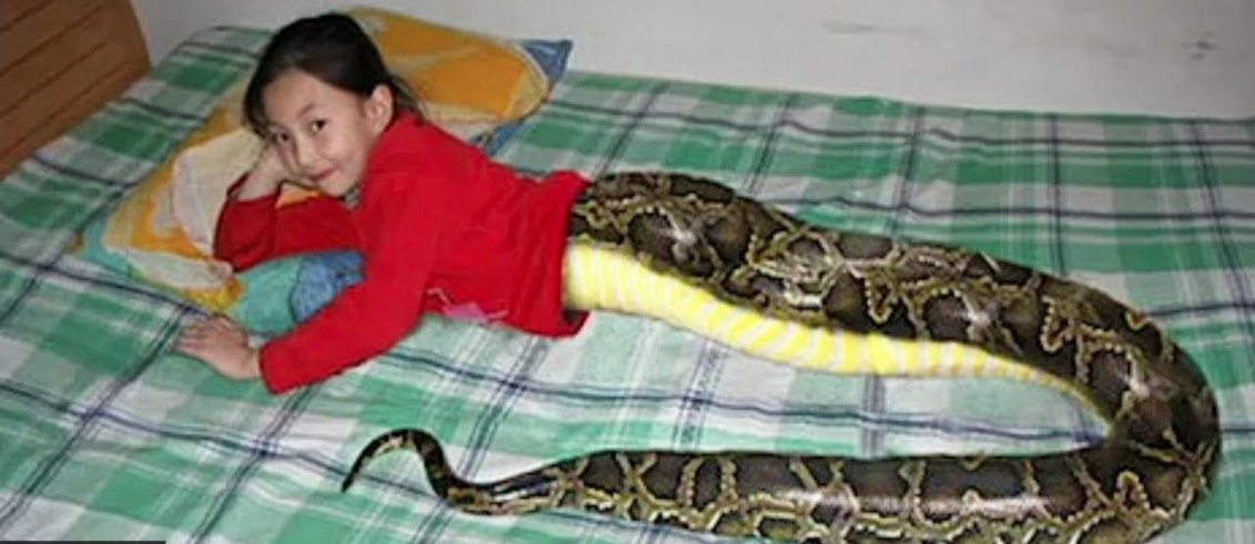 10 REAL Kids Who Are One in A Million | Sciled