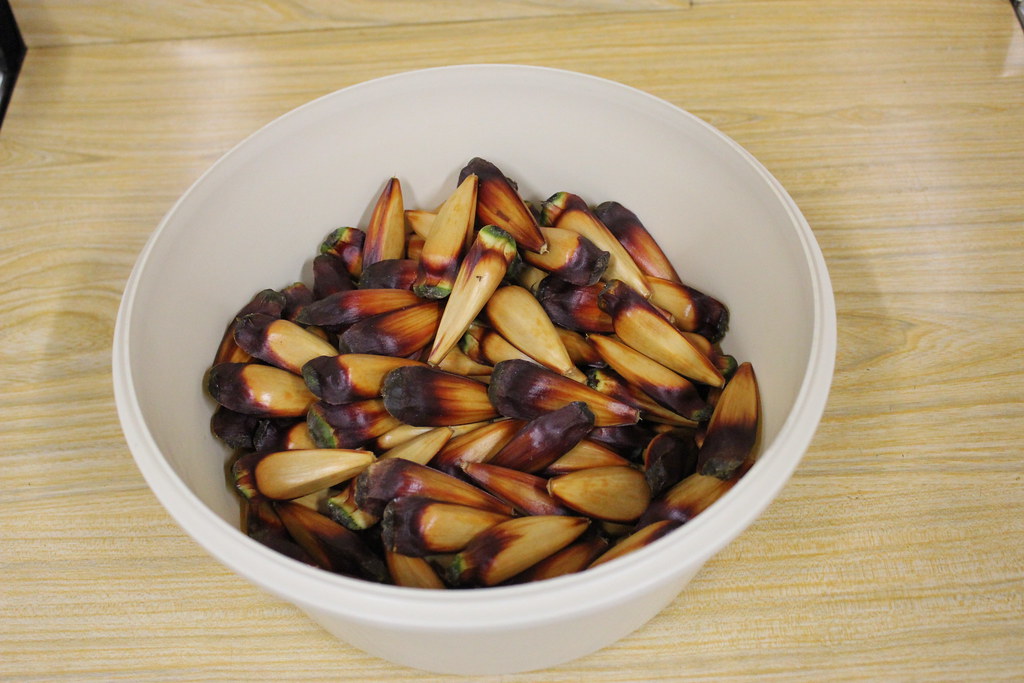 Pinhão: Como Fazer, Receitas e Benefícios - Menu Criativo - Receitas