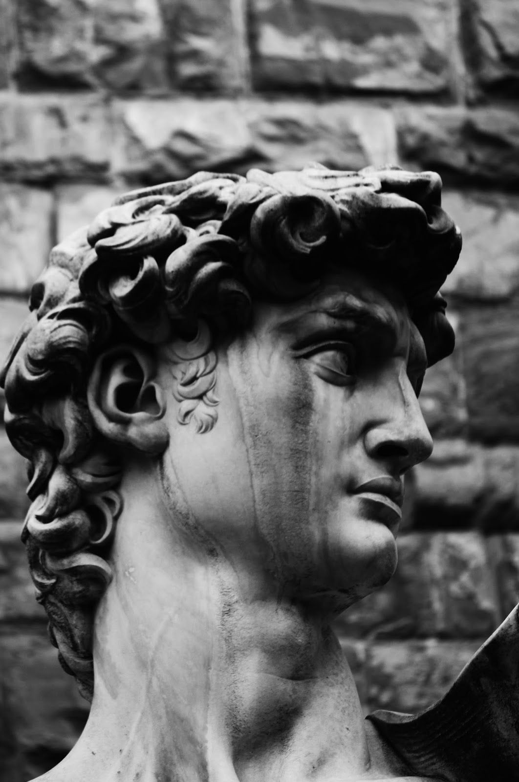 FOTOS DE TRIUNFO ARCINIEGAS: Florencia 2017 / David, de Miguel Angel ...