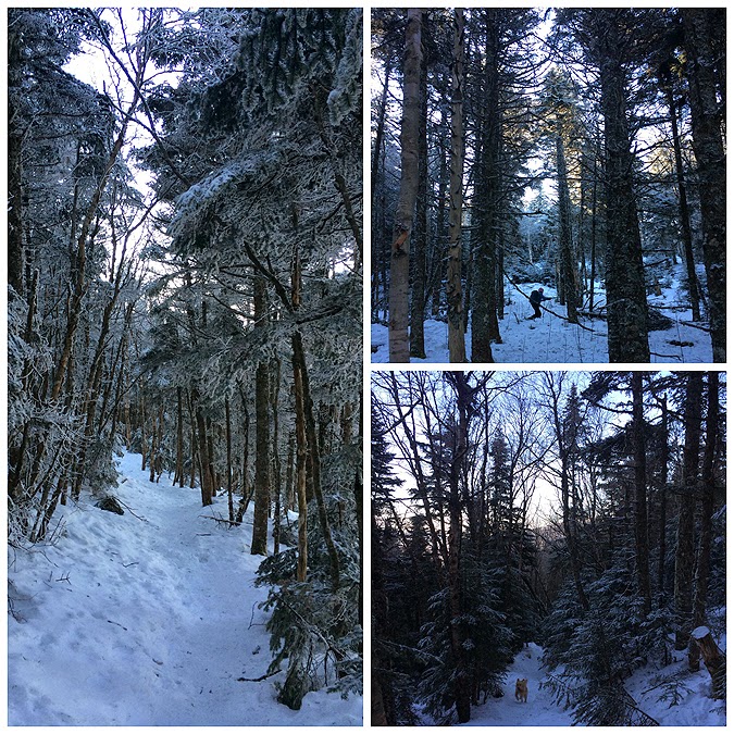 Hiking in the White Mountains: Sub Zero : Mount Garfield and Galehead ...