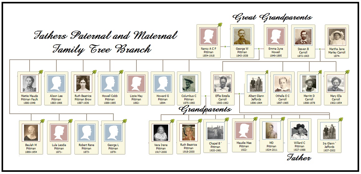 Tracks of My Texas Ancestors: FAMILY TREE BRANCHES