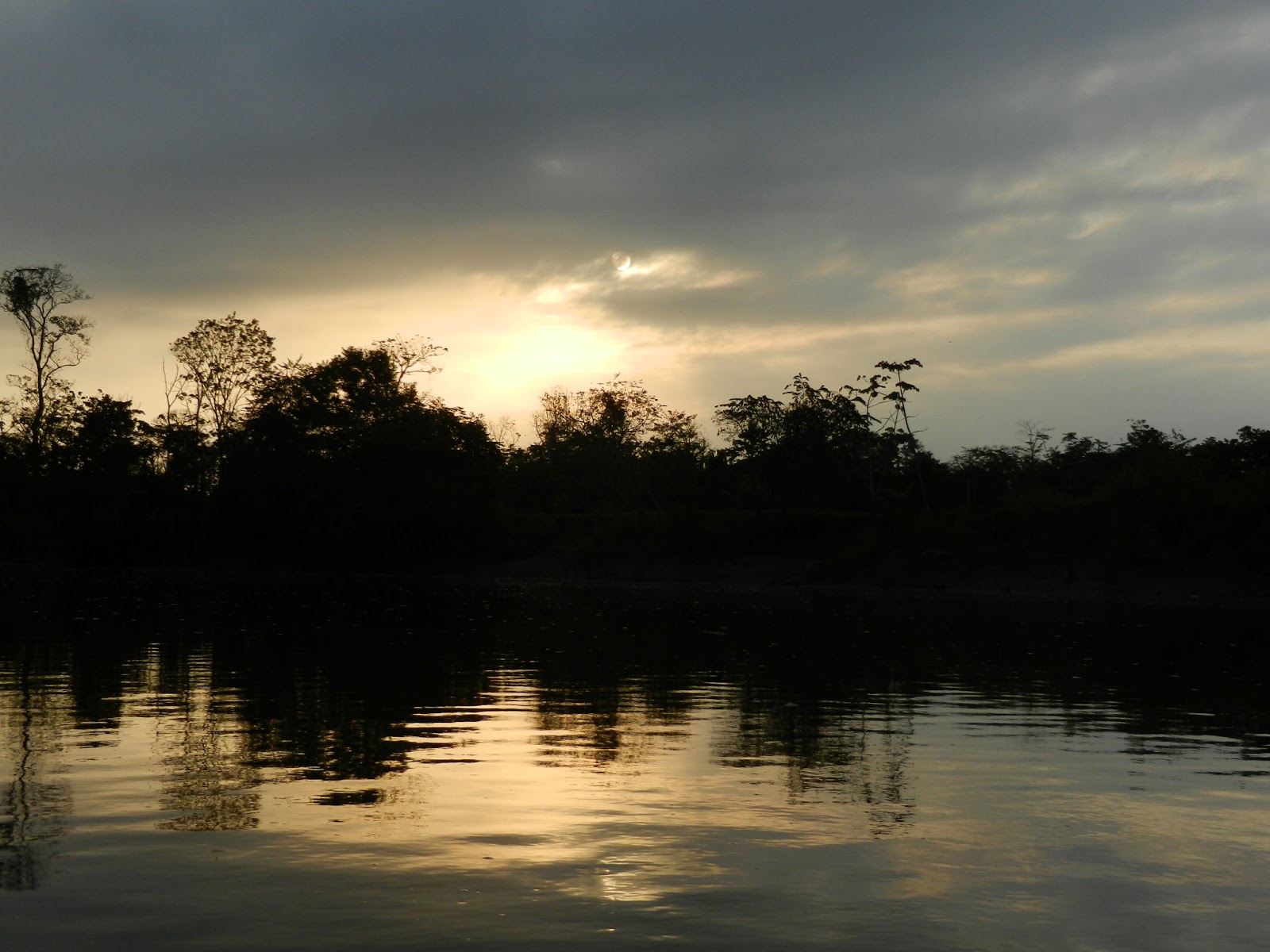 Experience Nature: El Real, Darien