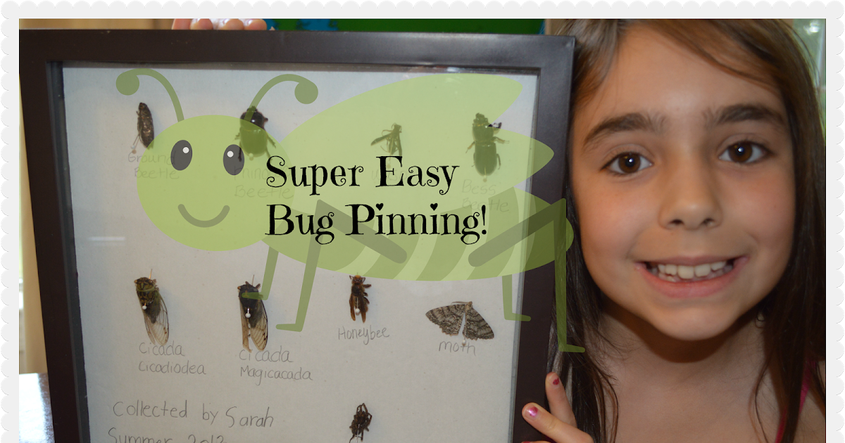 Solagratiamom: Super Easy Bug Pinning!