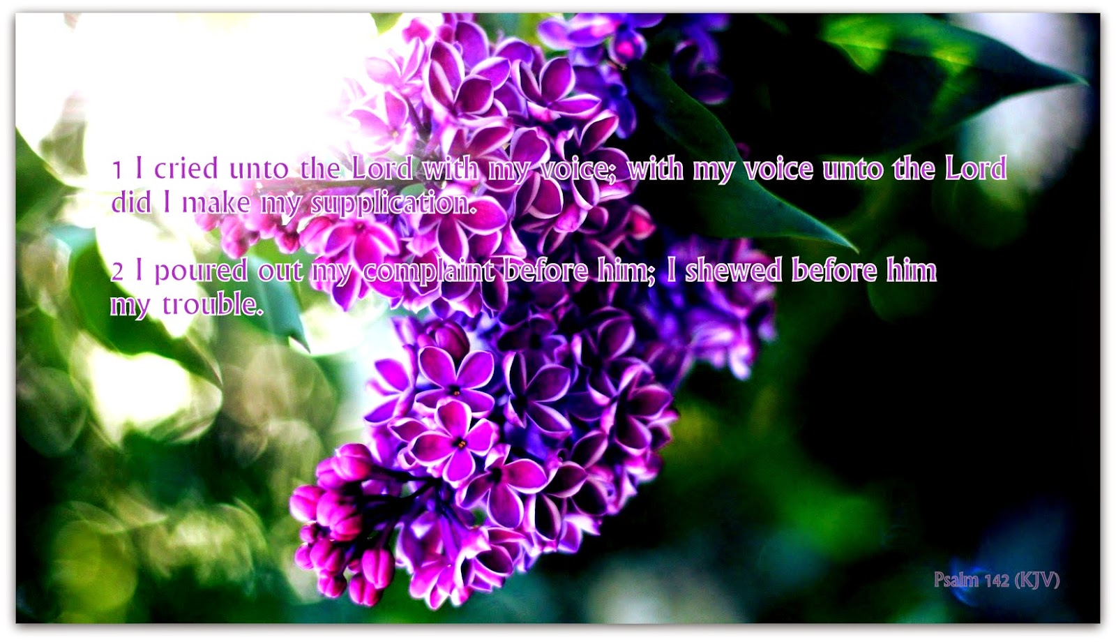 Red Pill Diaries: Psalm 142 (KJV)