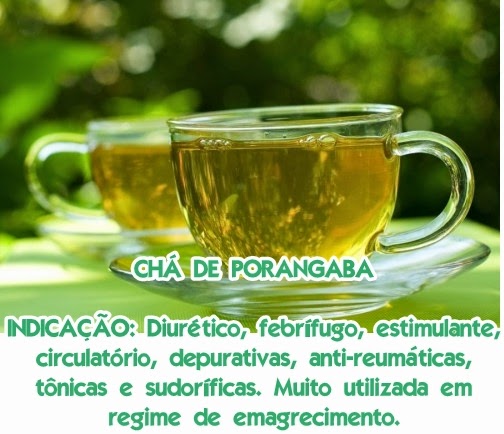 Coisas que deveríamos saber: CHÁ DE PORANGABA