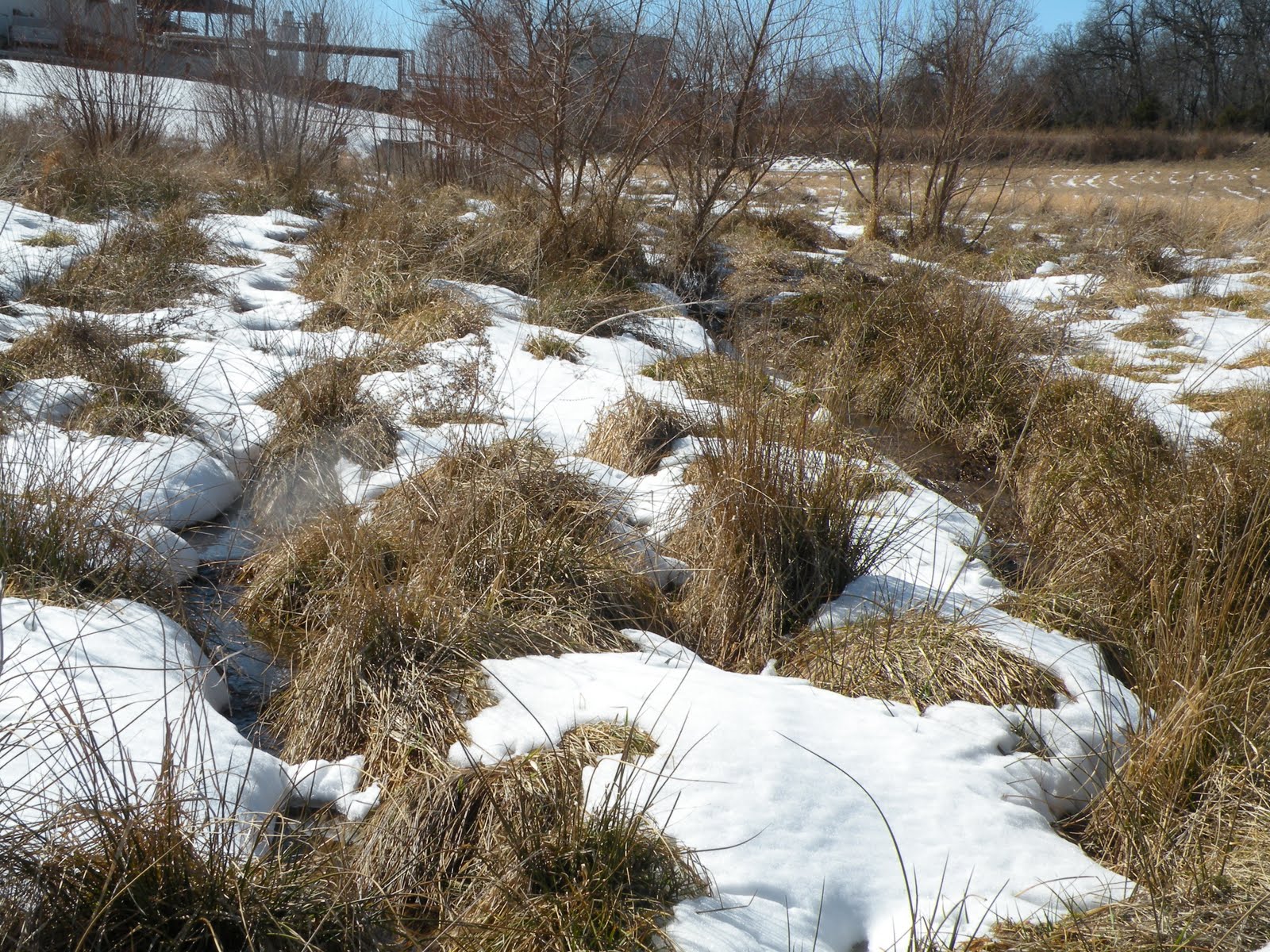 aubunique: Wet prairie flow-area snow melting fast