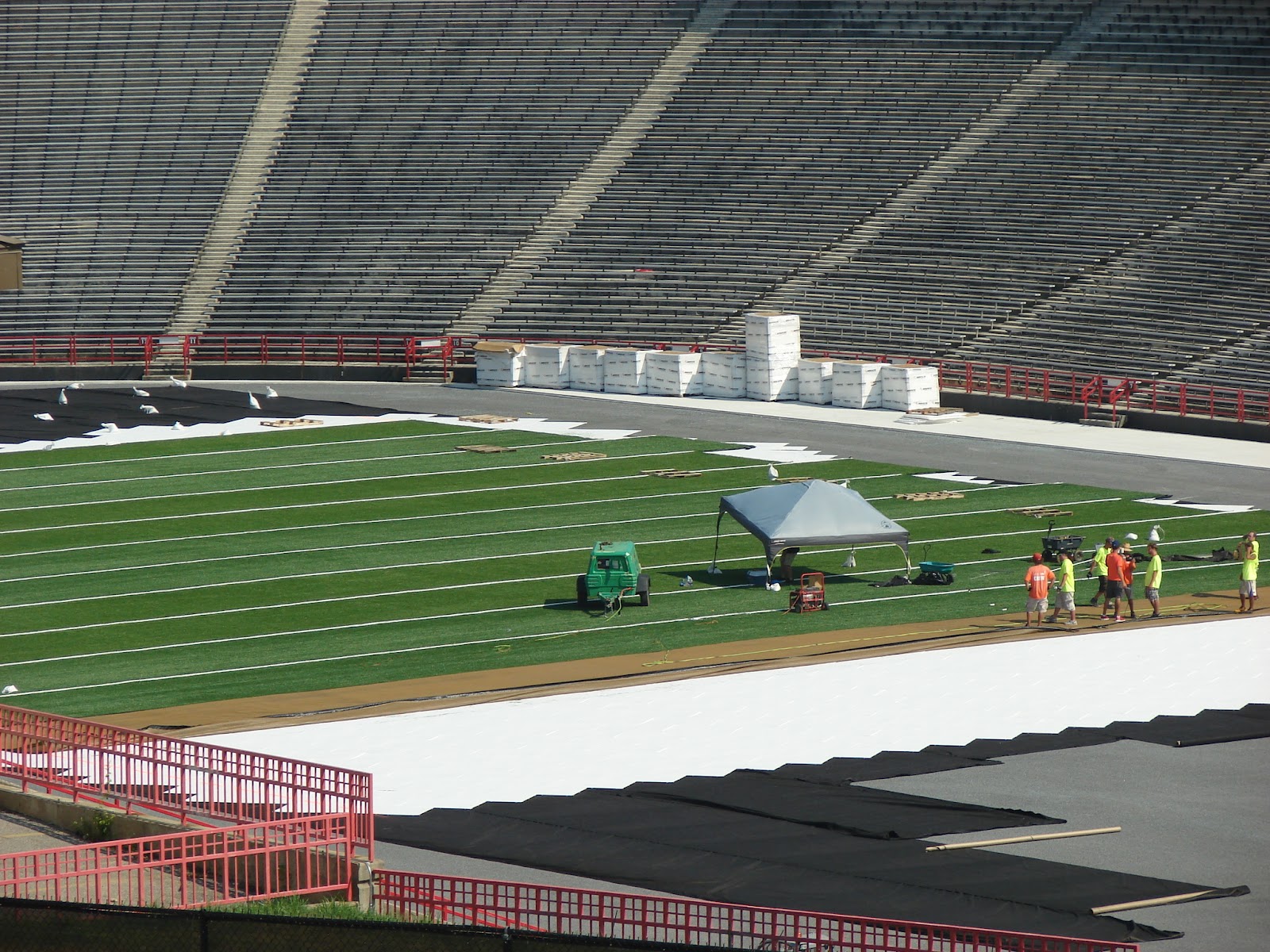 On the Inside of the Shell: Update: Terps Ground Crew Continues Laying ...