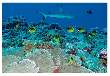 Postcards Journey: abril 2012