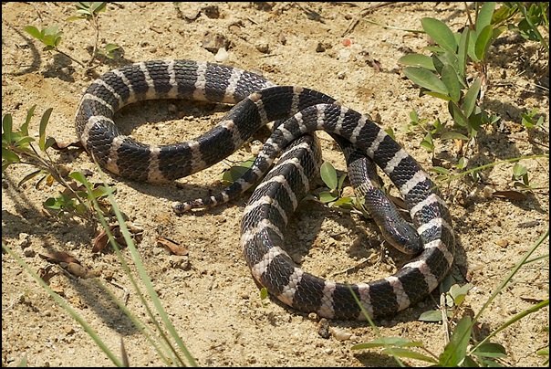 January - March 2016