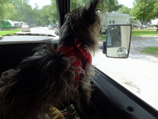 Adventures With Dear Miss Mermaid Child Of The Planet: Springwood Rv ...