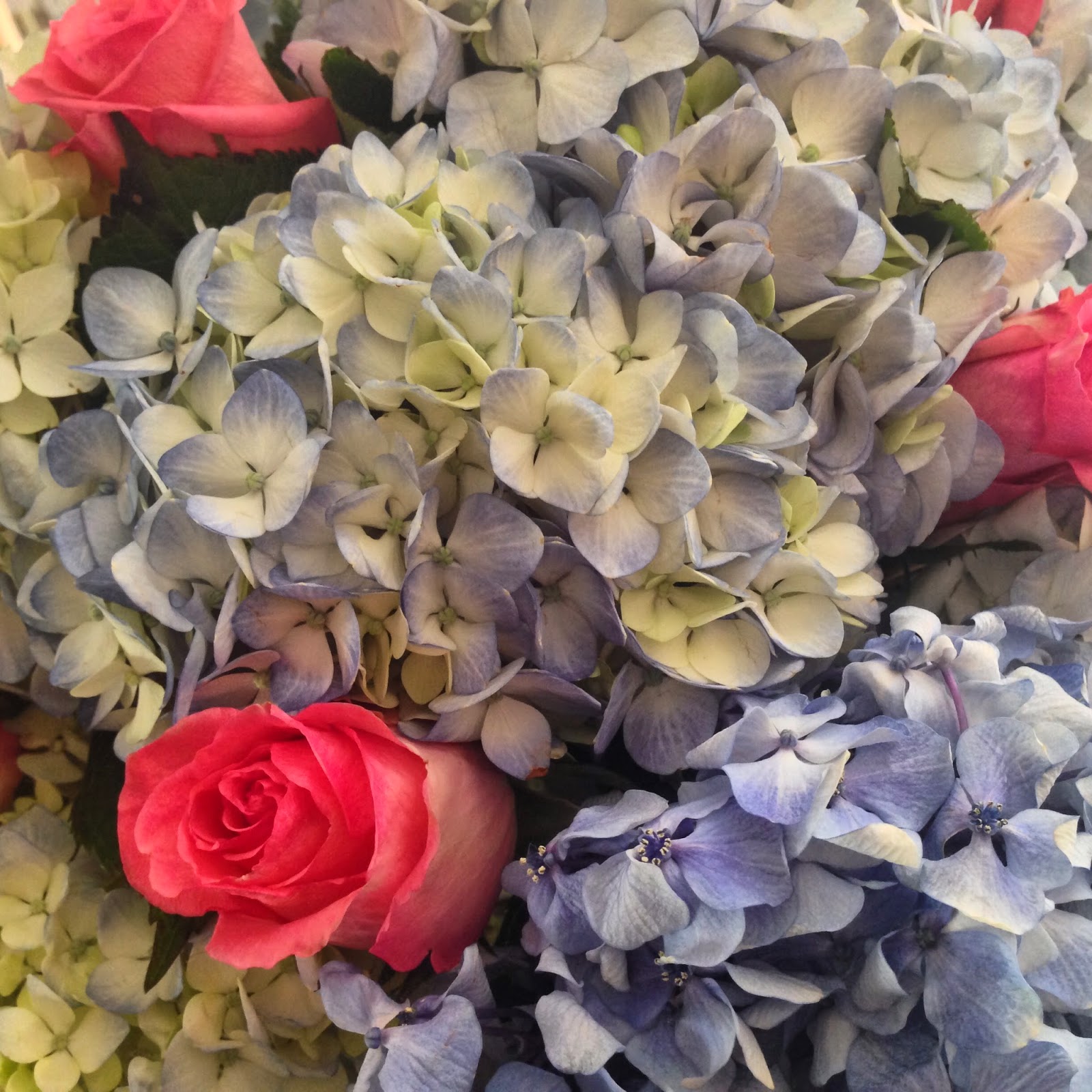 A Touch of Southern Grace : Spring Time Instagram