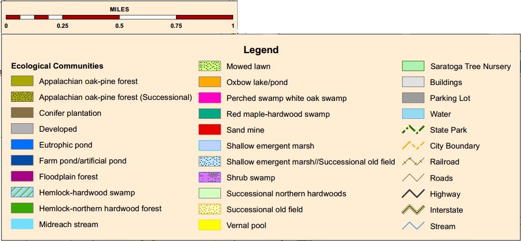 A Little Wild: Geyser Creek to the Kaydeross
