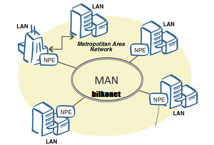 Cantik: Macam Macam Jaringan Komputer