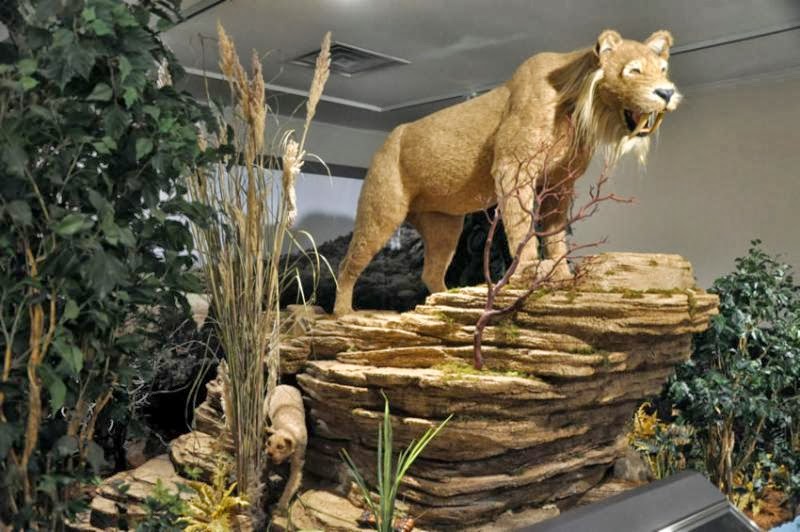 Ice Age Imperials opens at the Delaware Museum of Natural History - Fun ...