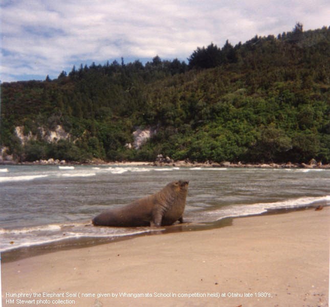 Part of the Past NZ History: August 2014