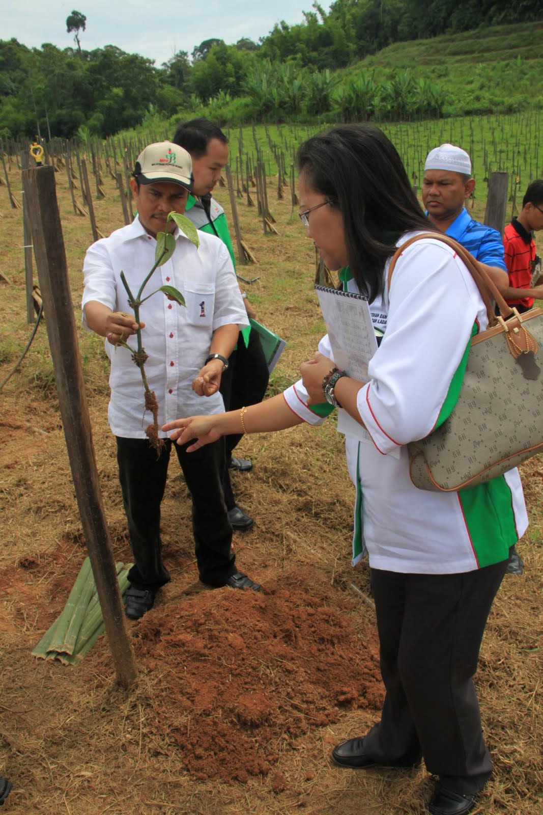 YB DATUK MOHD TAJUDIN ABDULLAH: Lawatan ke Ladang Lada Hitam/Putih oleh ...
