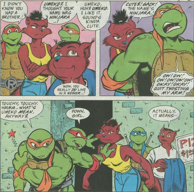 TMNT Entity: TMNT Adventures #46