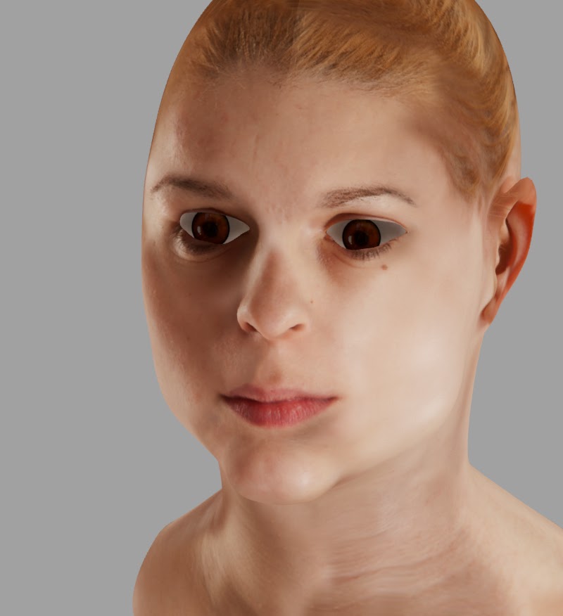 Personal Work Musings : Human Head Model