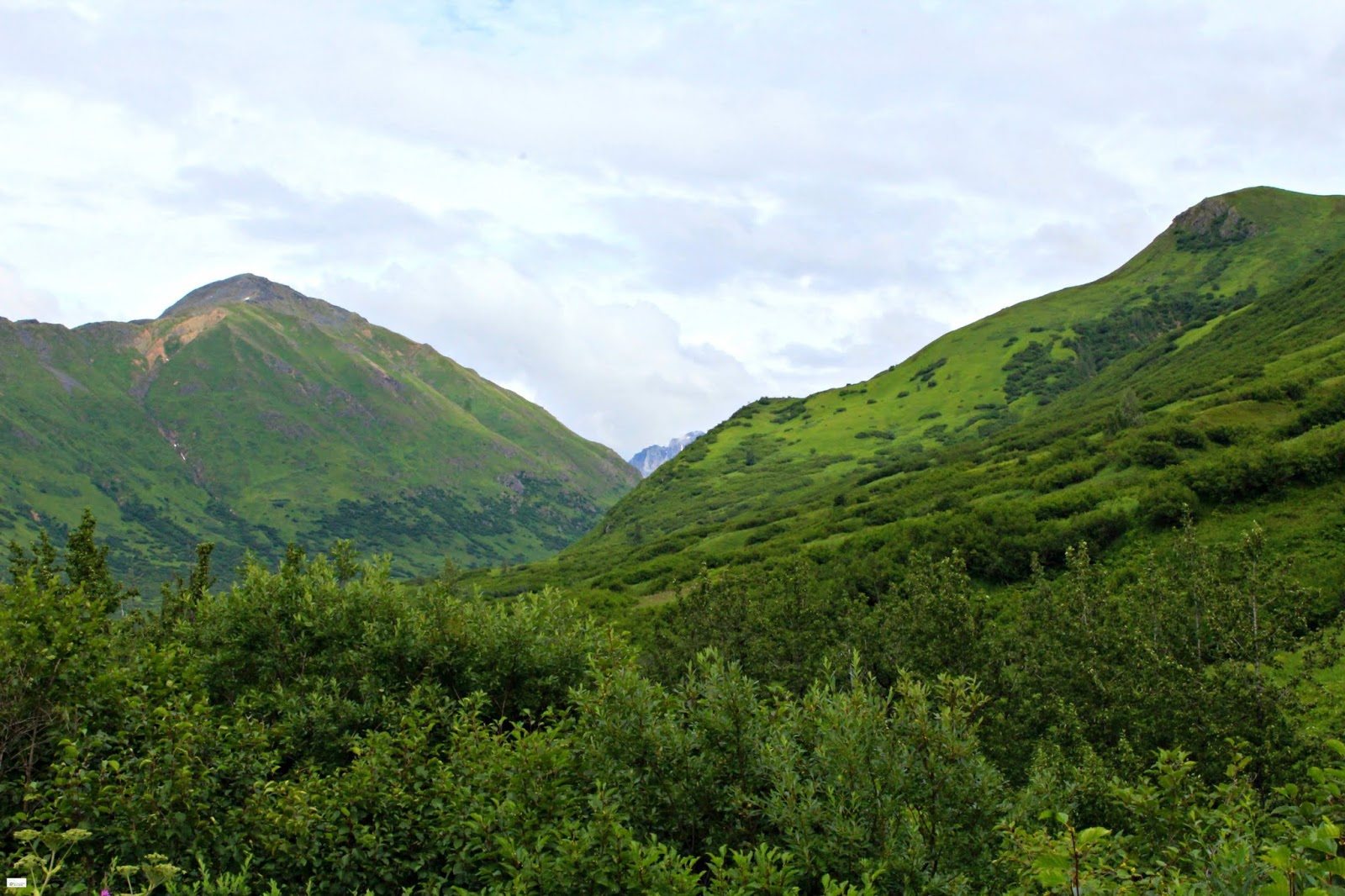 Hatcher Pass // Alaska | Caravan Sonnet