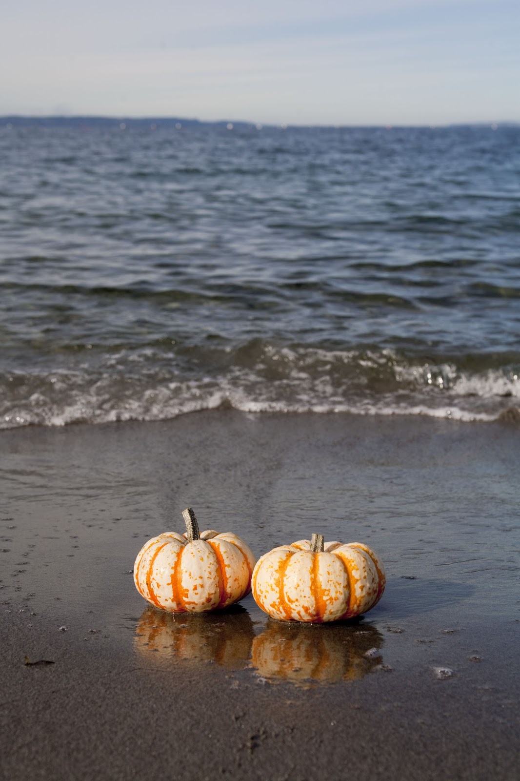 Something wicKED this way comes....: Pumpkins on Vacation.