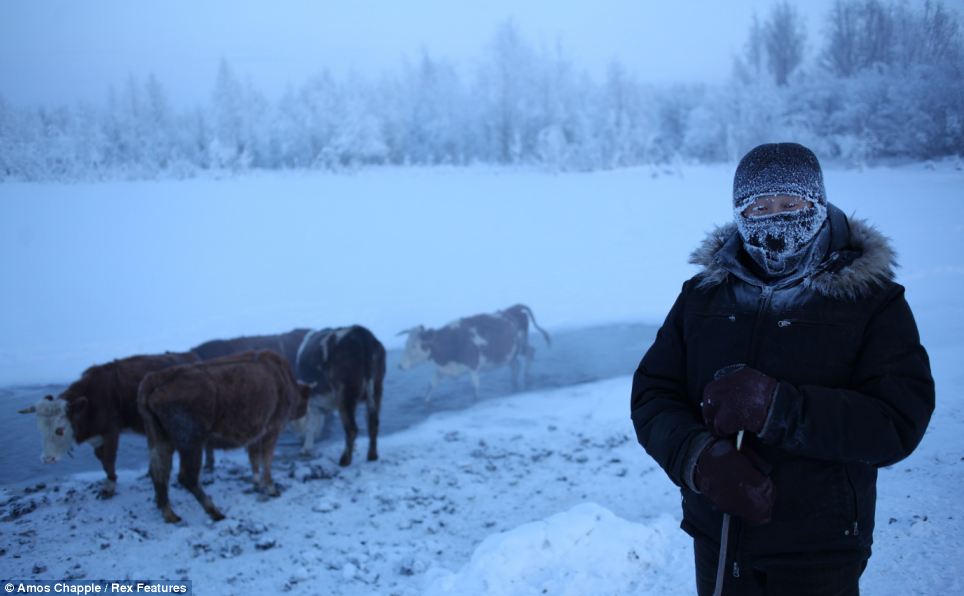 Husmeando por la red: Oymyakon, el lugar habitado más frío del mundo